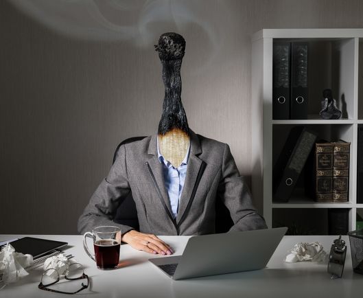 The Legal Stuff | Hamilton Lawyers